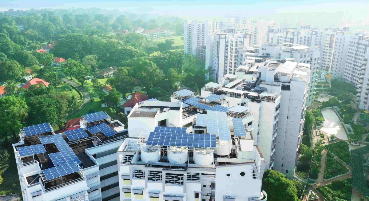 Microsoft to purchase 100% of energy exported from EDPR’s SolarNova 8 rooftop solar panel ...